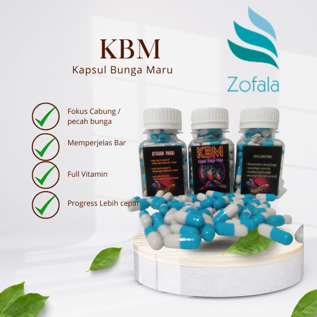 Jual Paket Progres cabung / pecah bunga chana maru red barito / yellow ...