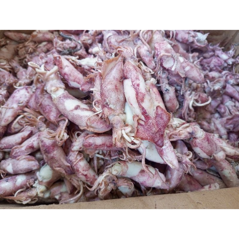 Jual ikan asin baby cumi asin/ cumi jarum / cumi rebus berat 500 gram ...
