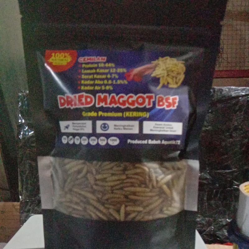 Jual MAGOT KERING | BERKUALITAS |SUPER| PREMIUM | 250g | Shopee Indonesia