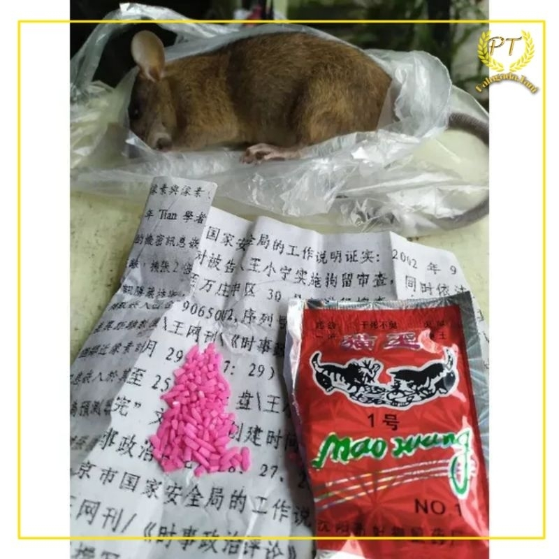 Jual Pembasmi tikus MAO WANG beras ASLI racun tikus maowang ber ...