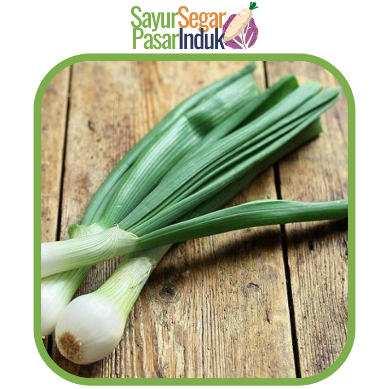Jual Daun Bawang Bawang Pre Besar Sayur Segar Pasar Induk | Shopee ...