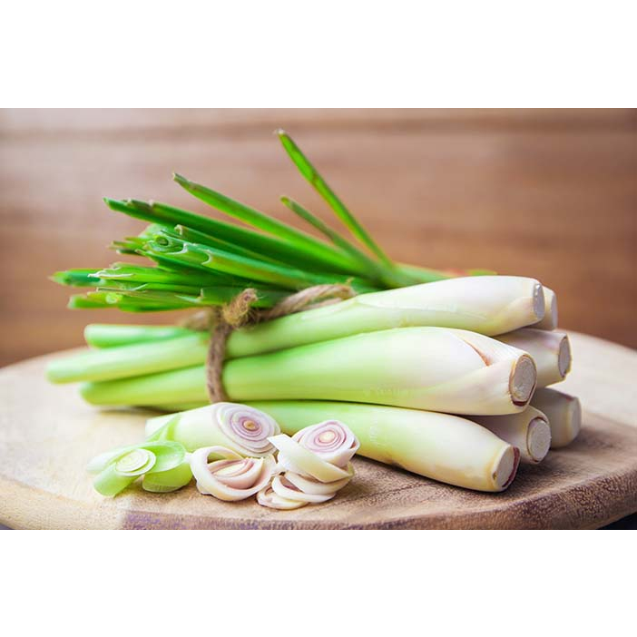 Jual DAUN SEREH WANGI SEGAR 500gr | Shopee Indonesia