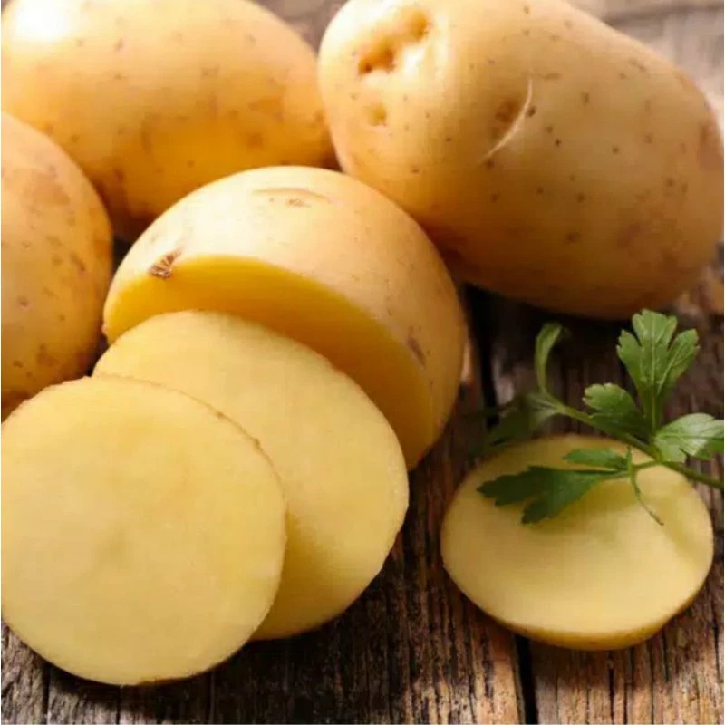 Jual Kentang jumbo kentang besar kentang mentah berat 3 kg premium ...