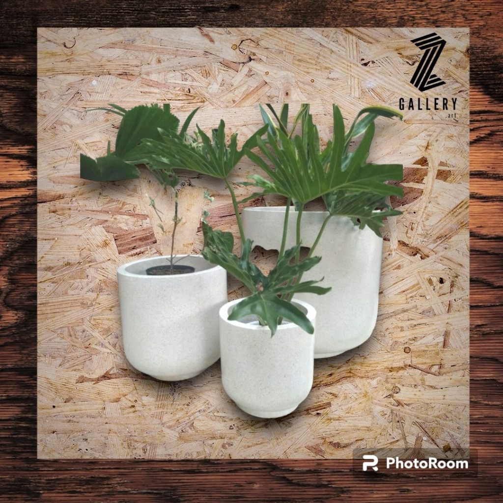 Jual Paket Pot Teraso Kapsul (3Pot) | Shopee Indonesia