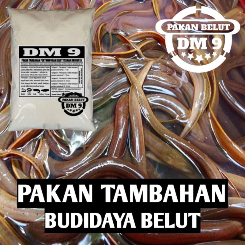 Jual Pakan tambahan DM 9 budidaya bibit belu, belut konsumsi, belut monster, belut jumbo, belut ...
