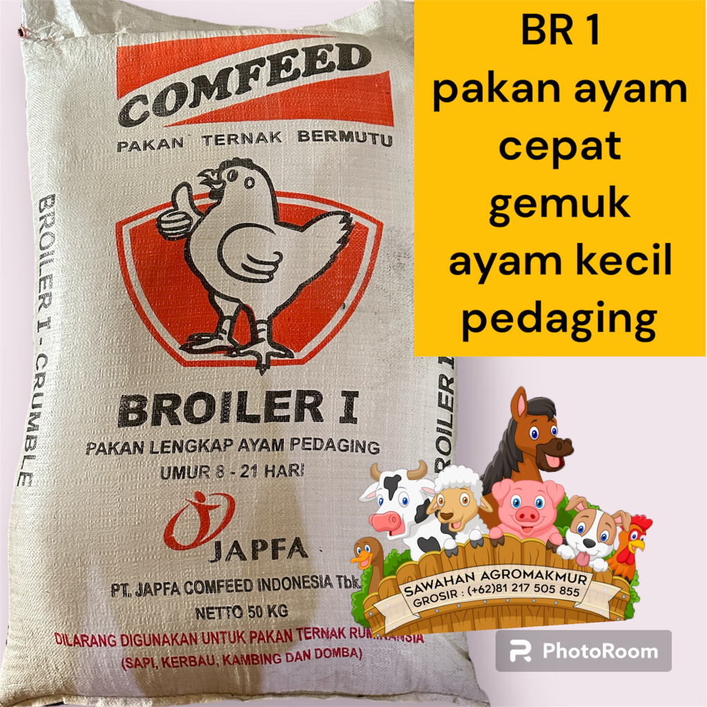 Jual Ayam Cemani Asli Terlengkap & Harga Terbaru April 2026 | Shopee ...