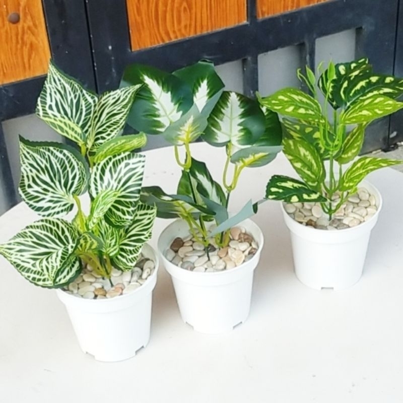 Jual daun artificial tanaman mini bunga hias palsu imitasi | Shopee ...