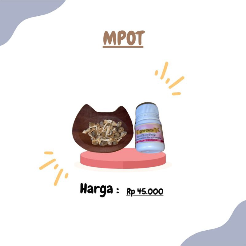Jual MPOT (TUMBUHAN LAUT YANG DIKERINGKAN) | Shopee Indonesia