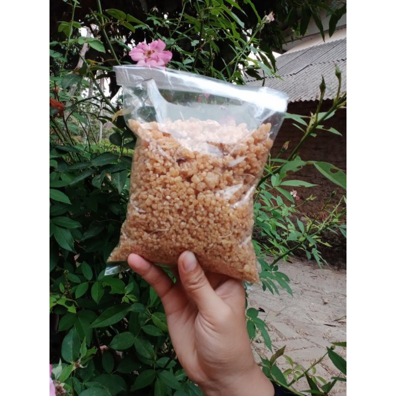 Jual Oyek/tiwul/nasi tiwul/oyek Garut 500gr | Shopee Indonesia