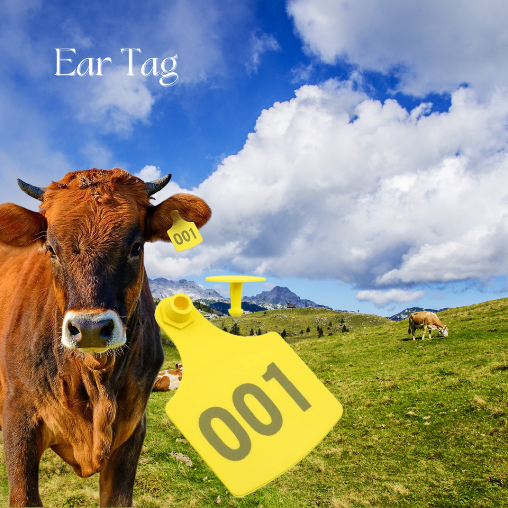 Jual Ear Tag Sapi Anting Ternak Ukuran 6cm x 7cm Free Cetak Logo ...