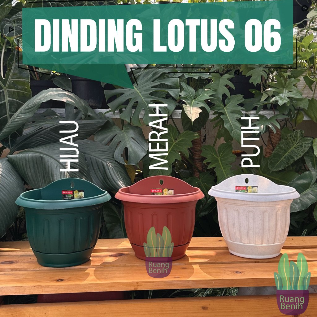 Jual Pot Dinding Tempel Lion Star LOTUS NO.6 Plastik Tebal Premium ...