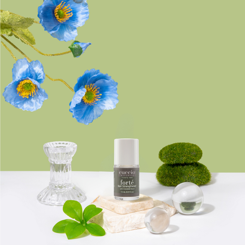 Jual Cuccio Naturale Forte Nail Strengthener with Horsetail Grass 15 ml ...