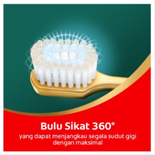 Jual Colgate Easy Comfort Toothbrush - Sikat Gigi (2pcs) | Shopee Indonesia