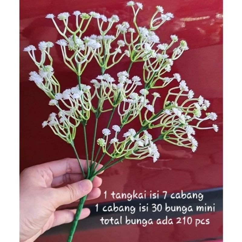 Jual Baby Breath ( KK ) Putih 7 cabang / Bunga Hias Plastik | Shopee ...