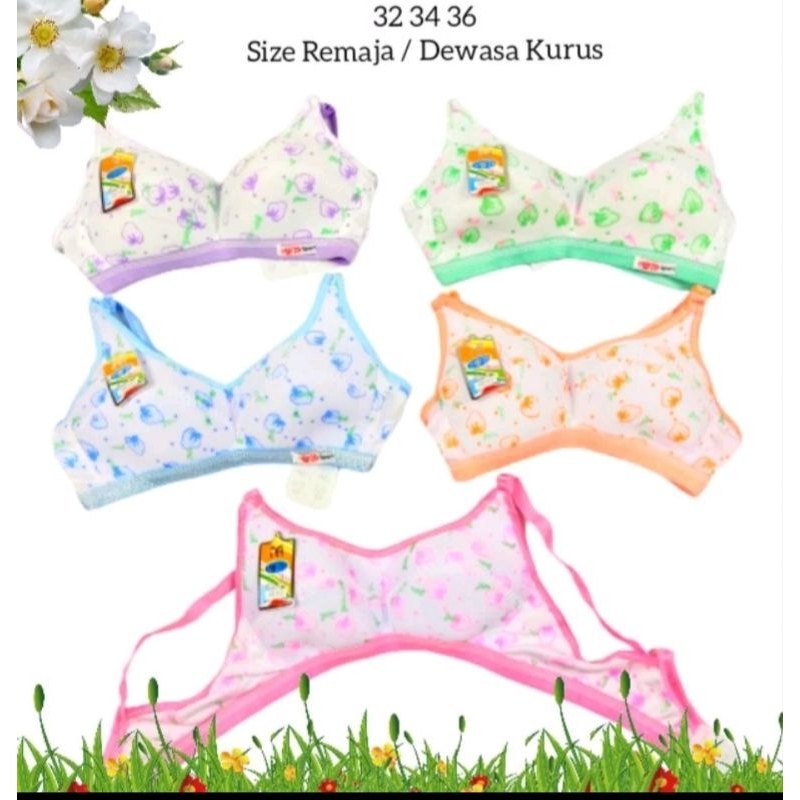 Jual Bh Bra Sport Remaja Perempuan Cewek Wanita Mifta size 32 34 36 ...