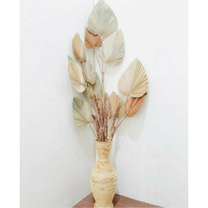 Jual Dekorasi Daun palem stik Rustik Kering Sikas Pampas Gandum Wedding ...