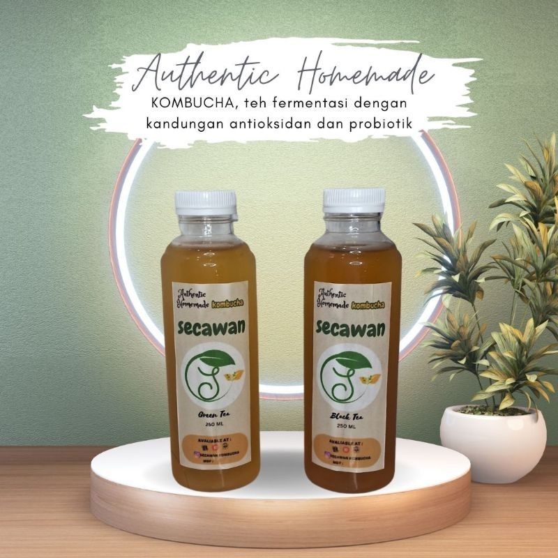 Jual Secawan kombucha original black tea 250 ml | Shopee Indonesia