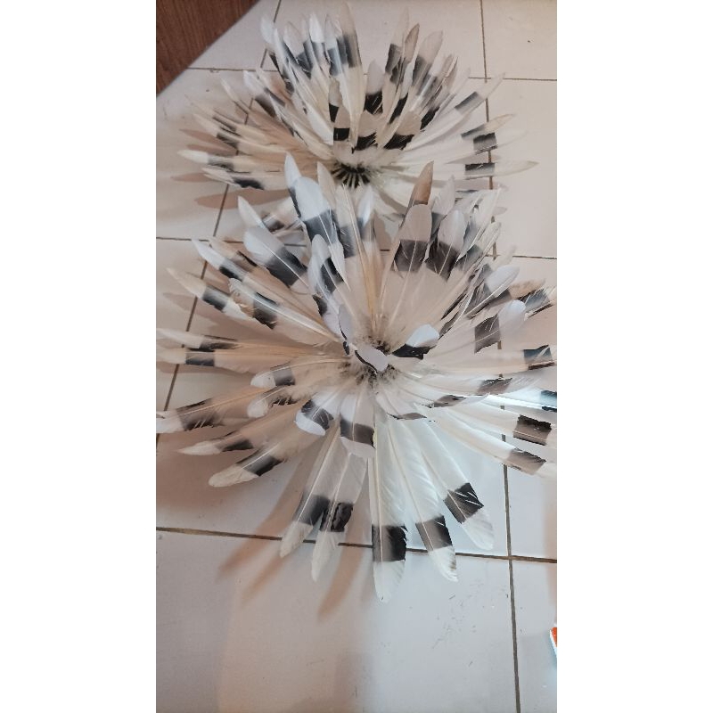 Jual Kirip bulu / Aksesoris tari adat dayak isi 106 helai bulu( Harga ...