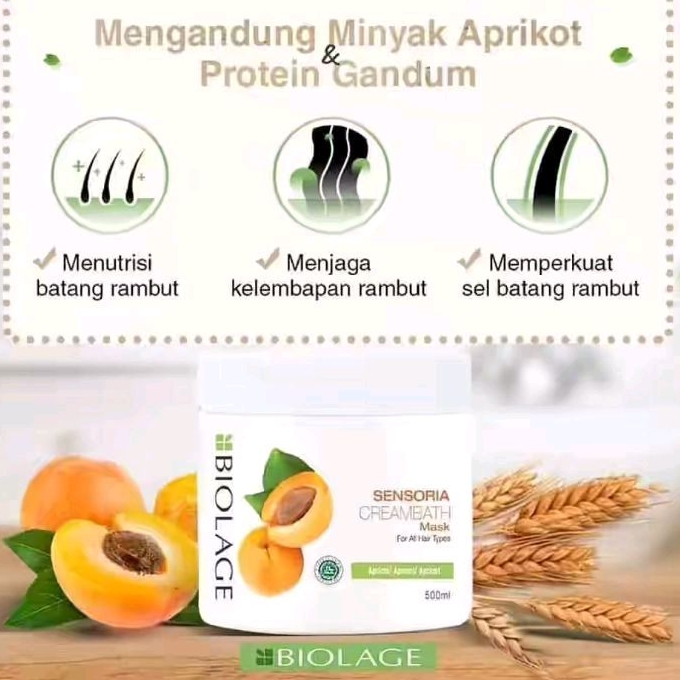 Jual MATRIX SENSORIA Creambath Mask Apricot 1000Gr | Shopee Indonesia