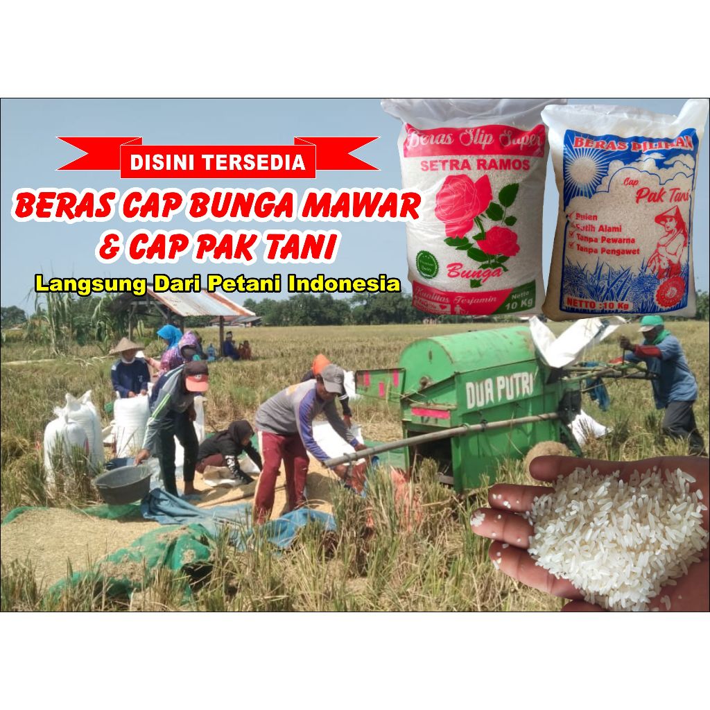 Jual Beras Cap Bunga Mawar 10 Liter | Langsung Dari Petani Indonesia ...