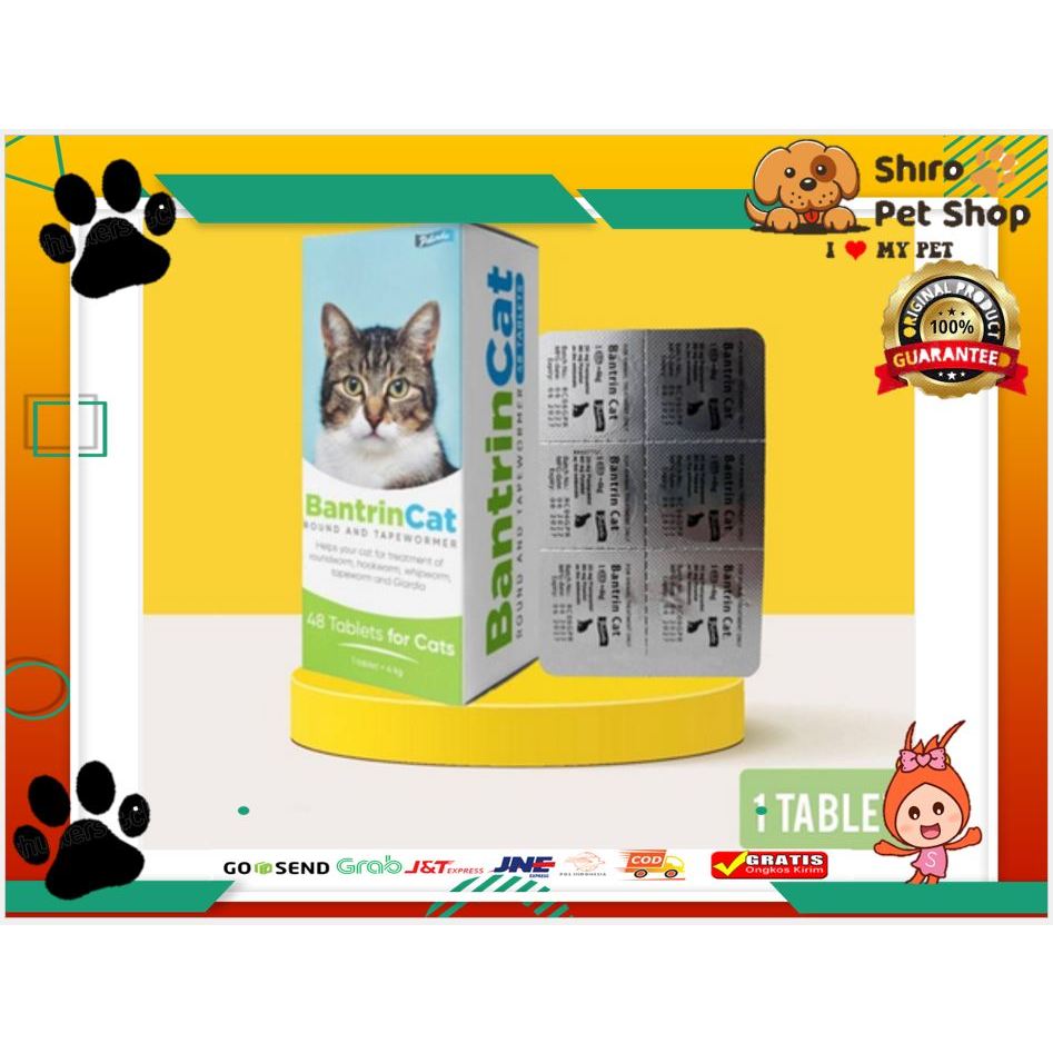 Jual PETINDO BANTRIN CAT OBAT CACING KUCING ADULT KITTEN ORIGINAL PER ...