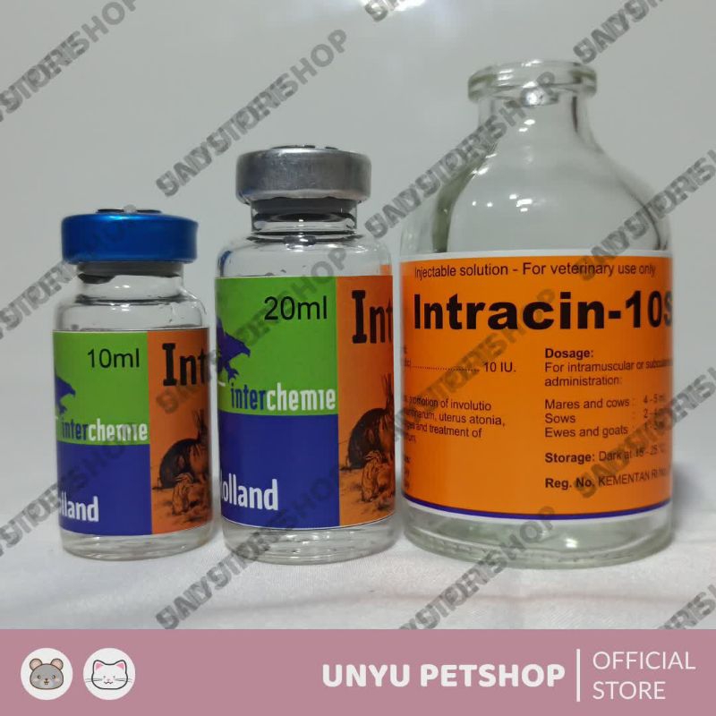Jual Intracin 10S obat Hormon uterus kelenjar mempercepat hewan lahiran ...