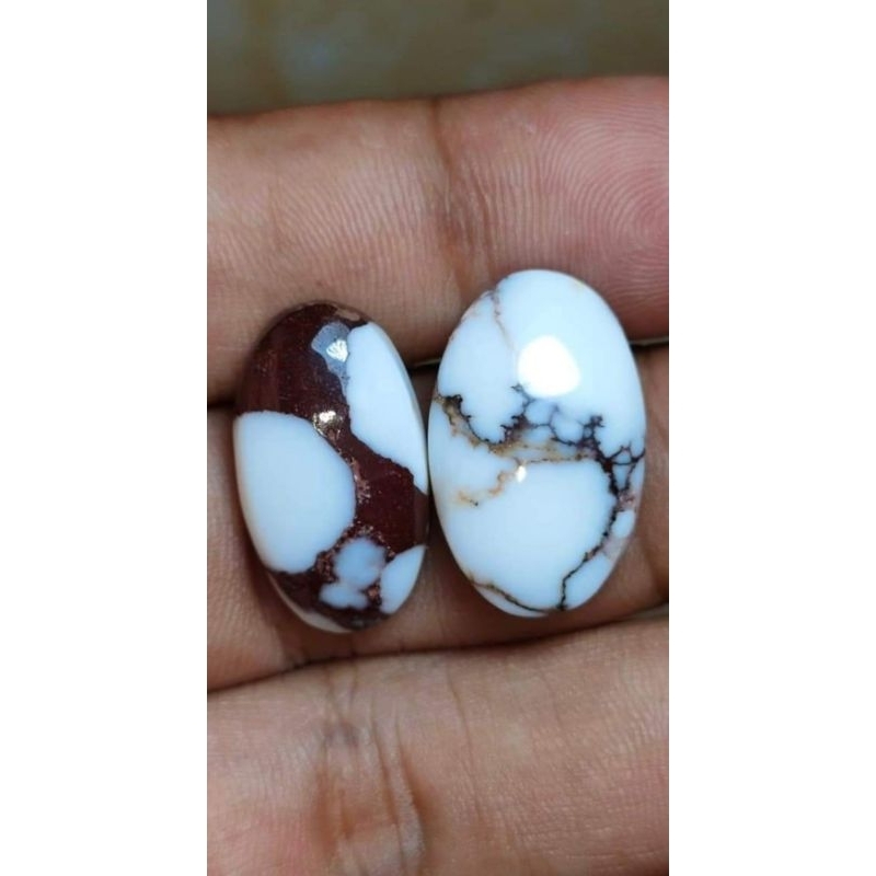 Jual NATURAL PIRUS PUTIH | Shopee Indonesia