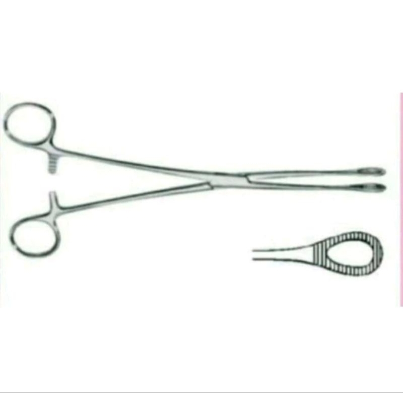 Jual Venster Klem / Sponge Holding | Shopee Indonesia