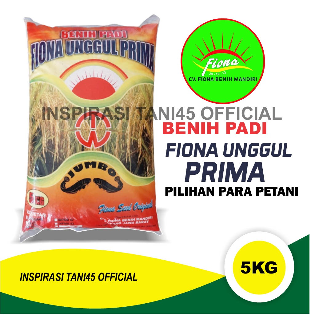 Jual Benih Padi FIONA UNGGUL PRIMA Jumbo 5 kg/Benih Padi FIONA 5 KG ...