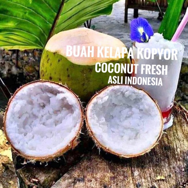 Jual BUAH KELAPA KOPYOR / Coconut fresh asli Indonesia | Shopee Indonesia