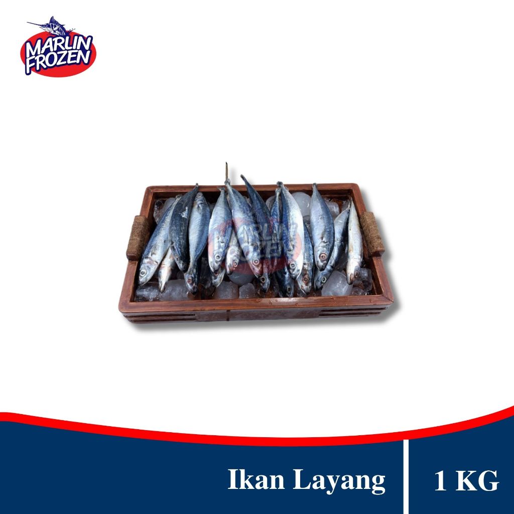 Jual Ikan Layang Segar Sedang 1Kg Isi 15-16 Pcs / Ikan Layang Fresh ...