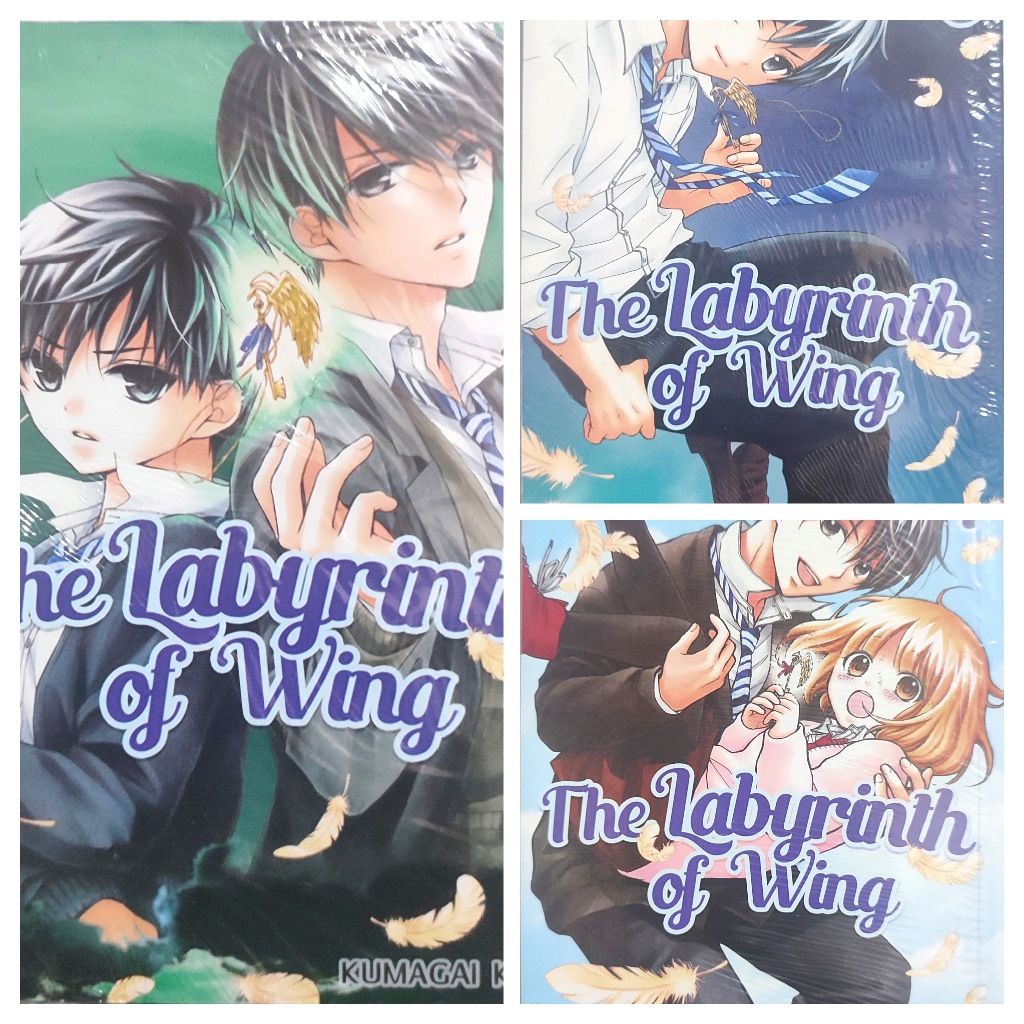 Jual Komik Seri The Labyrinth Of Wing By Kumagai Kyoko | Shopee Indonesia
