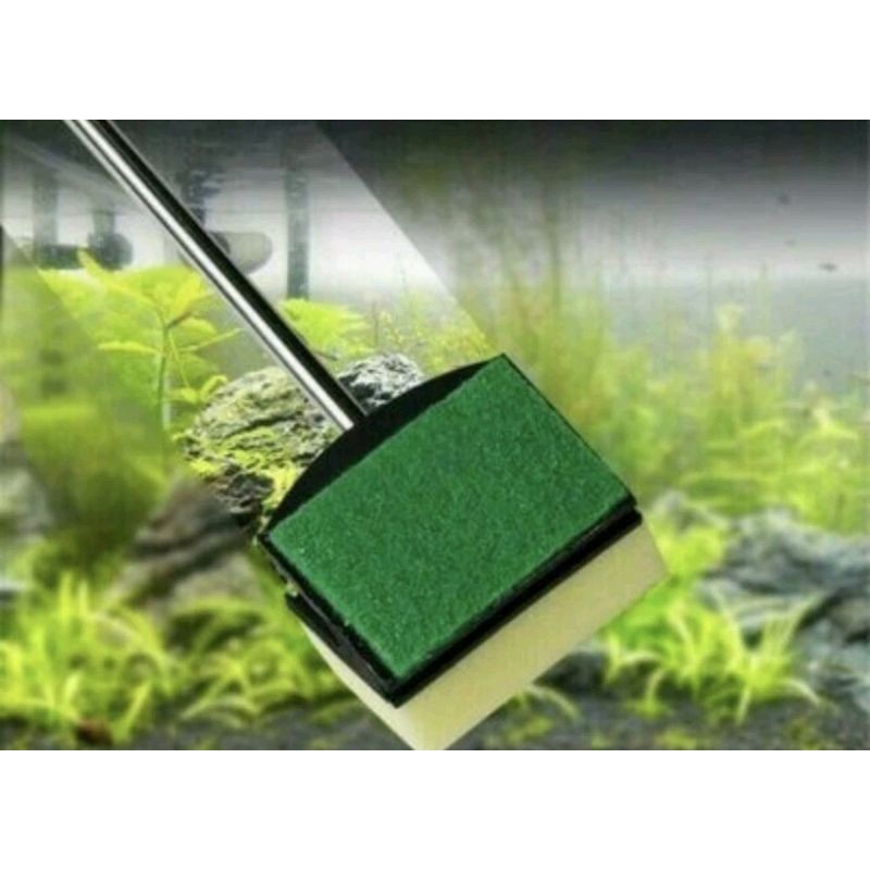 Jual pembersih gosokan scraper aquarium / gosokan kaca aquarium ...