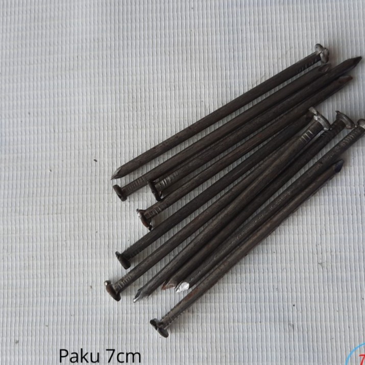 Jual Paku Kayu 7 cm 1/2 KG (500 gram) | Shopee Indonesia
