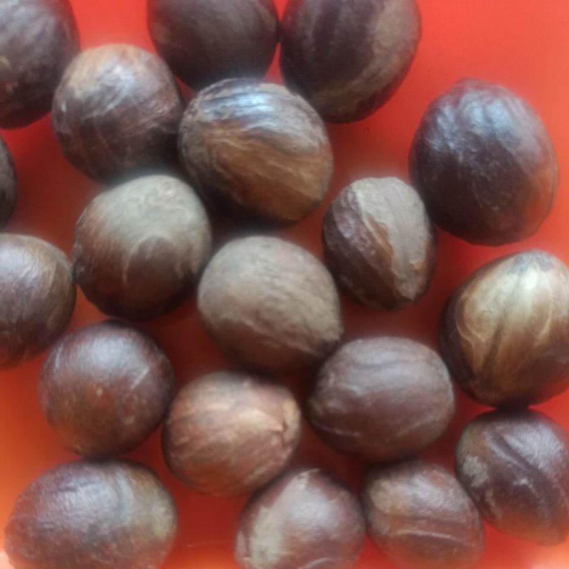 Jual 100 Gram buah Pala utuh - Bumbu Rempah Khas Minang | Shopee Indonesia
