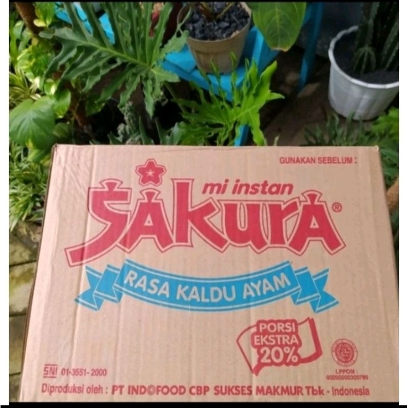 Jual mie instan sakura 1 kardus | Shopee Indonesia