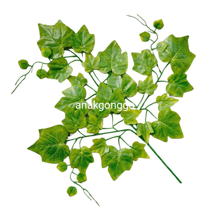Jual Promo Grosir anakgonggo Daun Anggur Tangkai Hijau Muda Artificial ...