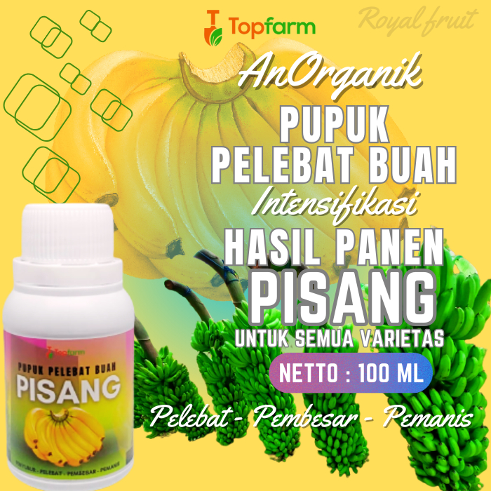 Jual Pupuk Pelebat Buah Pisang / Pupuk Buat Tanaman Pohon Pisang / Pupuk Cair Buat Pohon Pisang ...