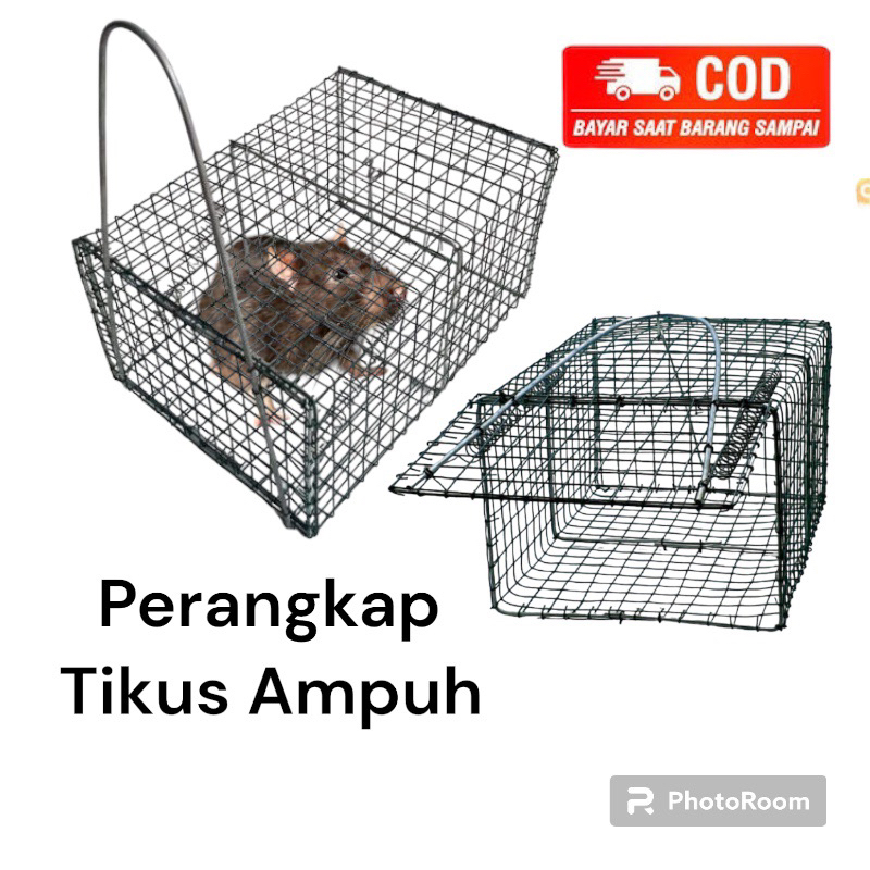 Jual PERANGKAP TIKUS | AMPUH UNTUK MENANGKAP TIKUS | PERANGKAP KAWAT ...