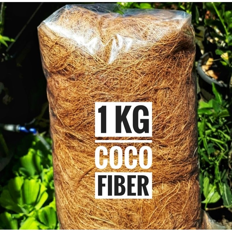 Jual Sabut Kelapa Coco Fiber Coco Yarn Coco Coir Sarang Burung Penutup ...