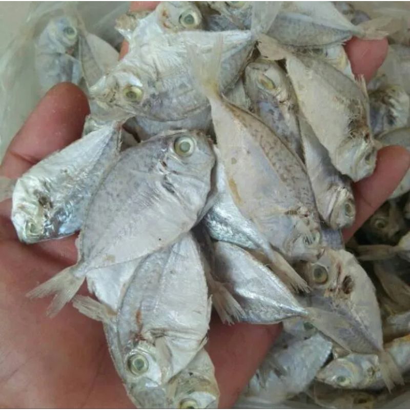 Jual ikan petek 1kg | Shopee Indonesia