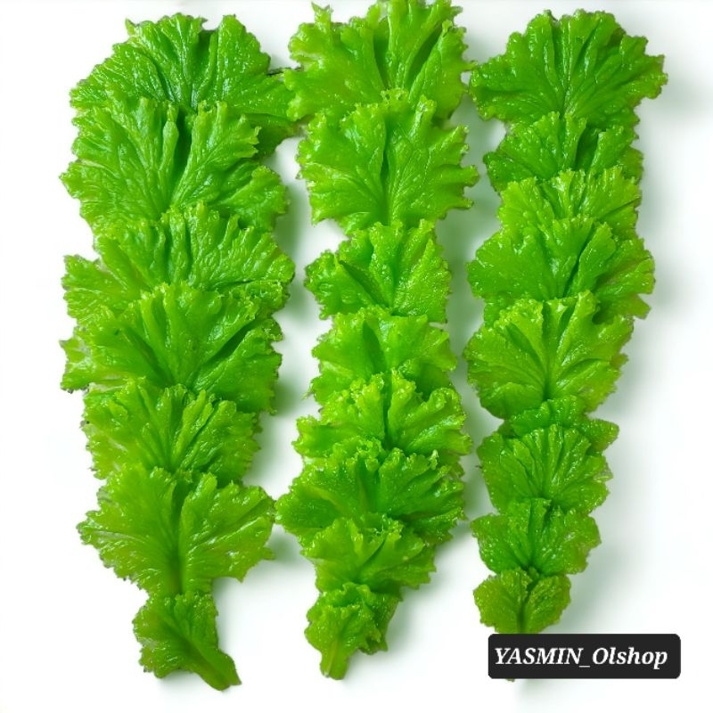 Jual Replika sayuran salada /dummy sayuran salada/display/dekorasi ...