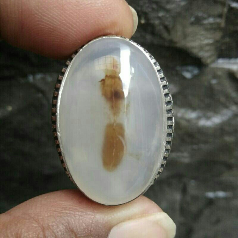 Jual batu gambar dendrit bkn combong kendit tapak jalak kecubung ruby ...