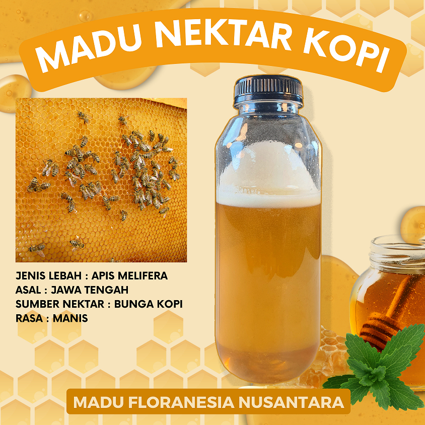 Jual MADU MURNI MADU ASLI HUTAN ODENG 1 KG KUALITAS PREMIUM FULL NEKTAR ...