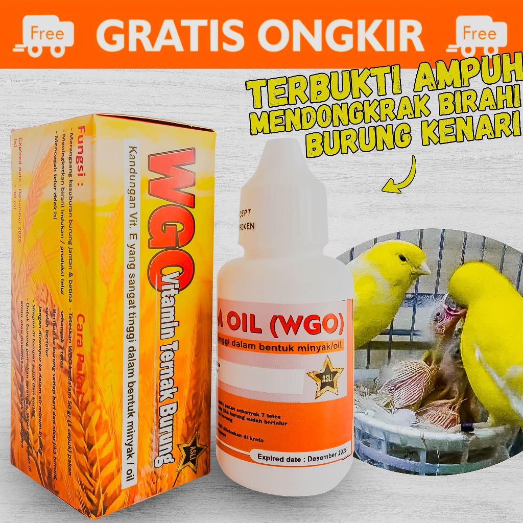 Jual WGO Asli Vitamin Suplemen Obat Ternak Breeding Burung Kenari ...