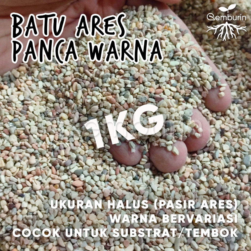 Jual Batu Ares Panca Warna 1 Kg HALUS / Pasir Koral Hias Multicolour Multicolor Stone Pancawarna ...