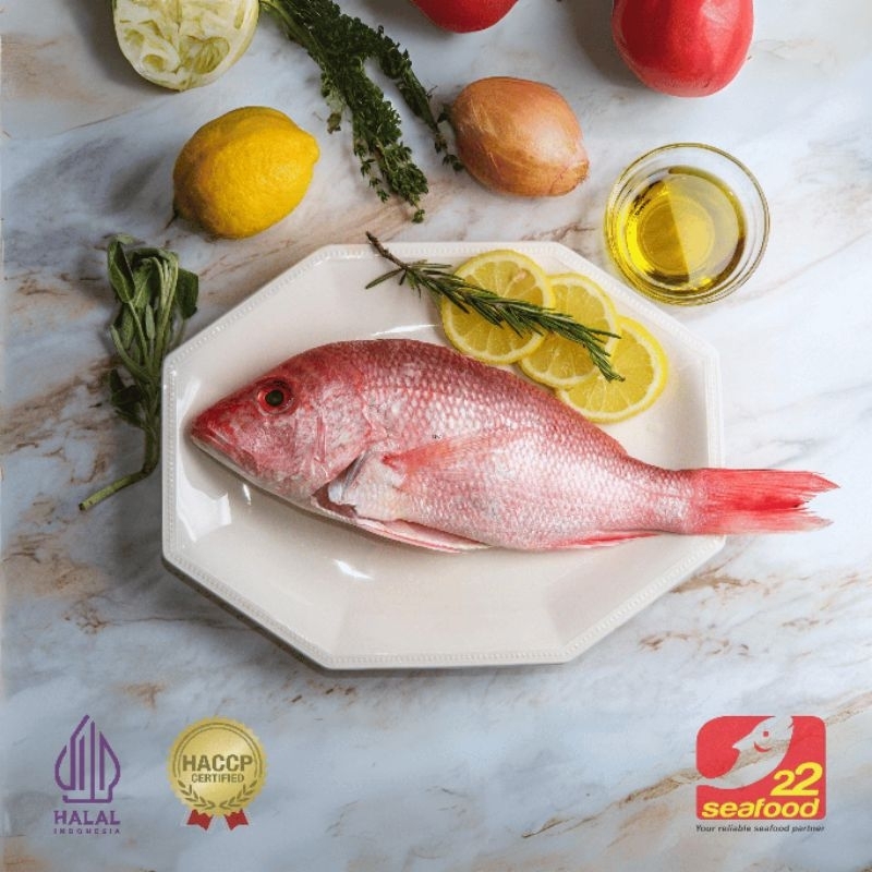 Jual Ikan Kakap Merah 800-1000 gram WGGS tanpa jeroan / Seafood 22 ...