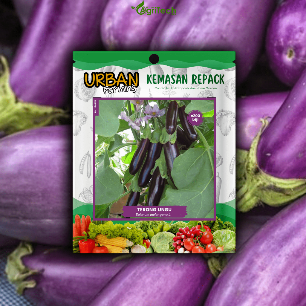 Jual BENIH BIBIT TERONG UNGU UNGGUL ISI 100 BIJI NEO AGRI SEEDS PURPLE ...