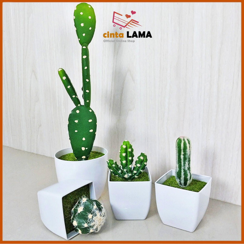 Jual Tanaman Pot Bunga Hias Plastik Kaktus Sukulen Mini Artificial ...