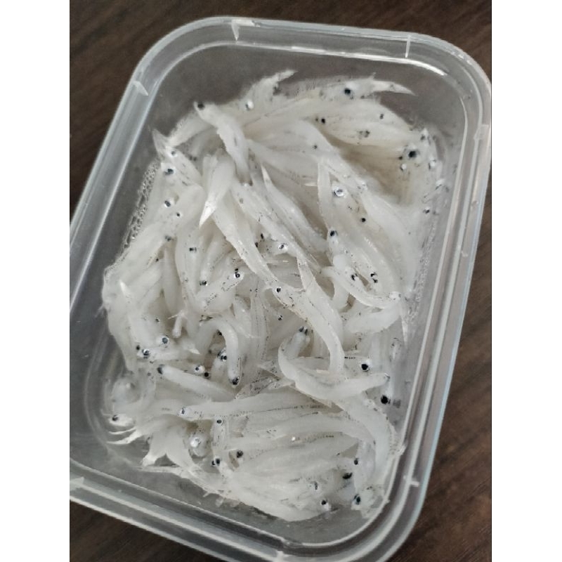 Jual IKAN TERI NASI BASAH SEGAR TAWAR / FROZEN / COCOK UNTUK MPASI ...